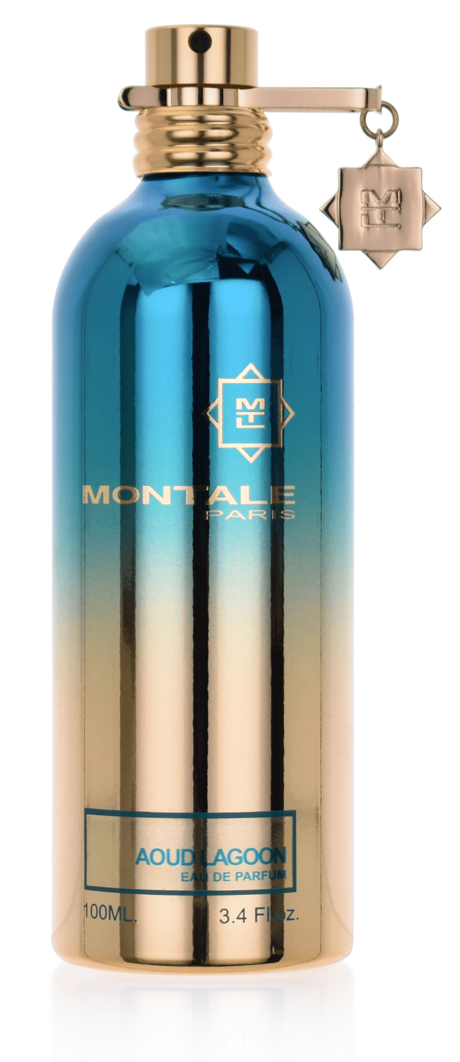 Montale Paris Aoud Lagoon 100 ml Eau de Parfum | 3760260454223